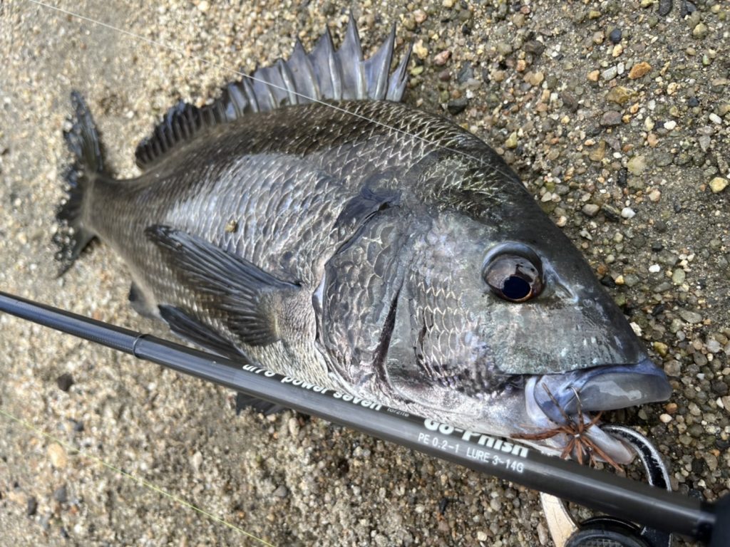 GT fishing is awesome!! The World of GT fishing and attraction ...