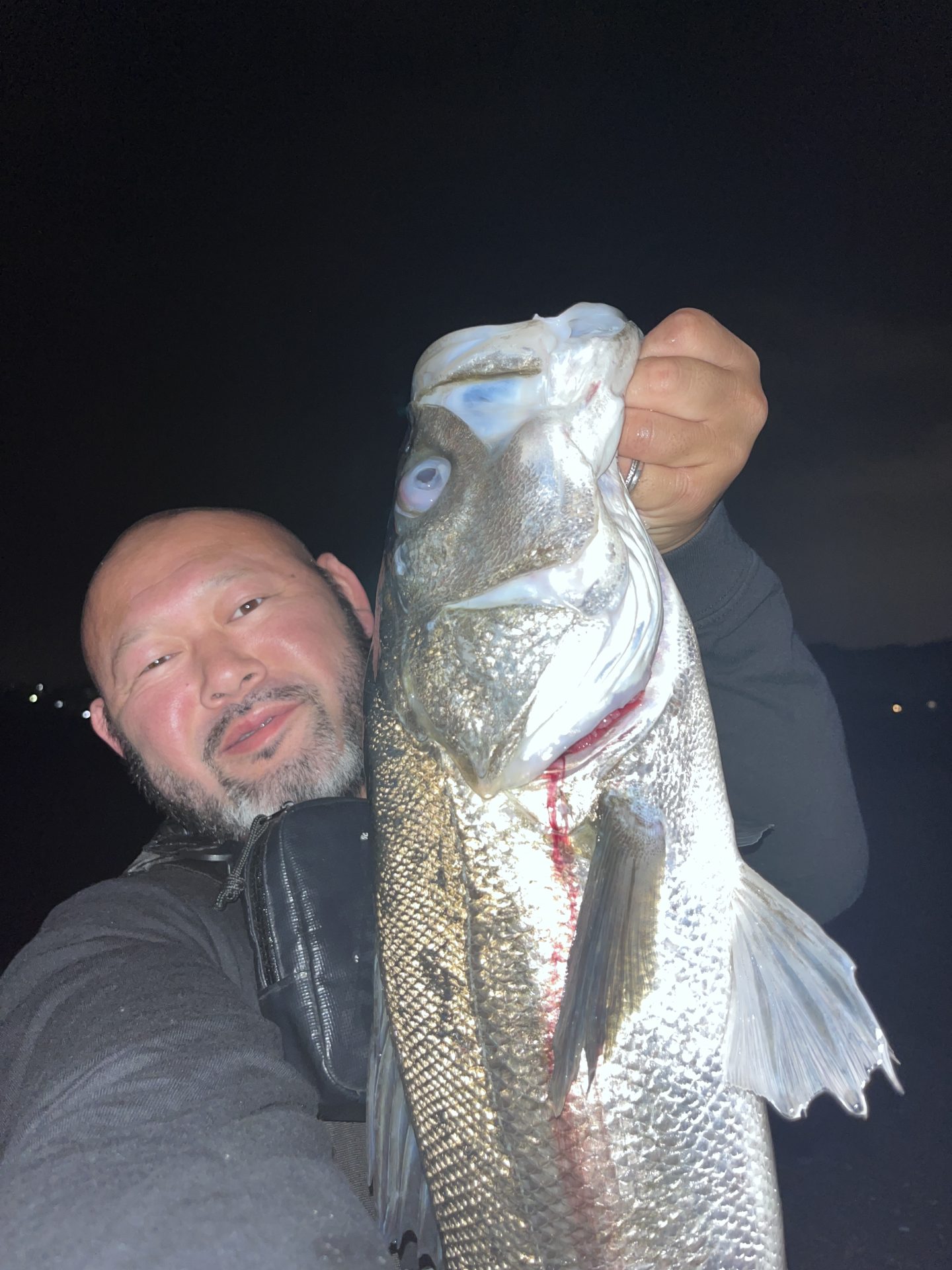 IMG_6970 | SUNLINE ENGLISH